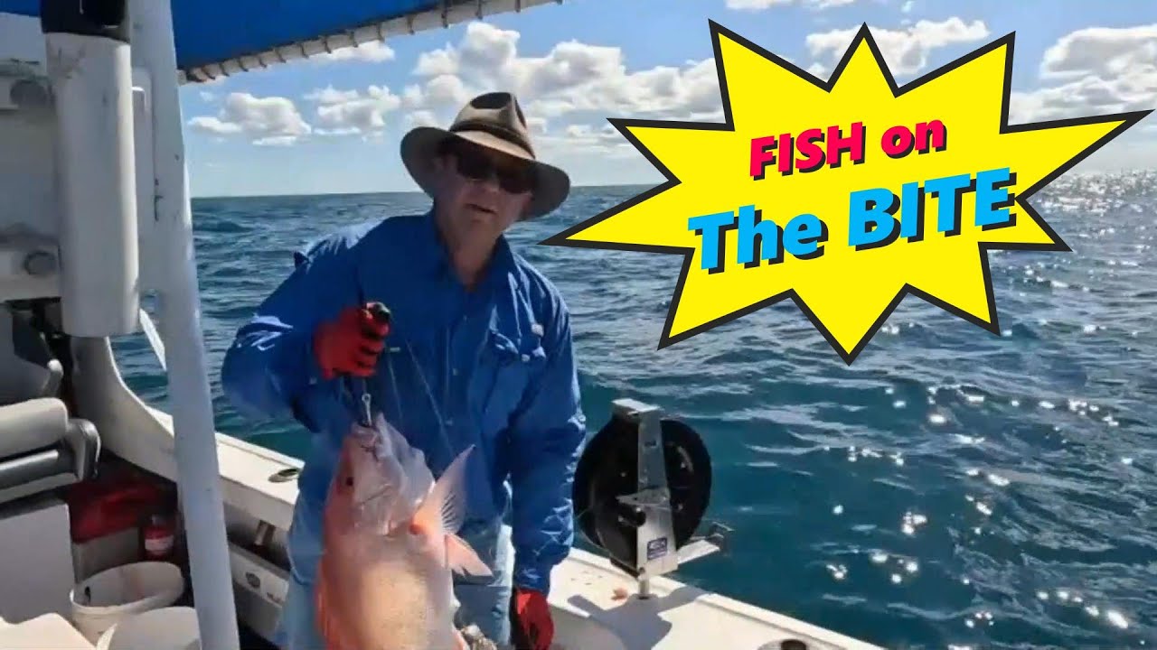 FISH on The BITE – The captains jobs! - YouTube