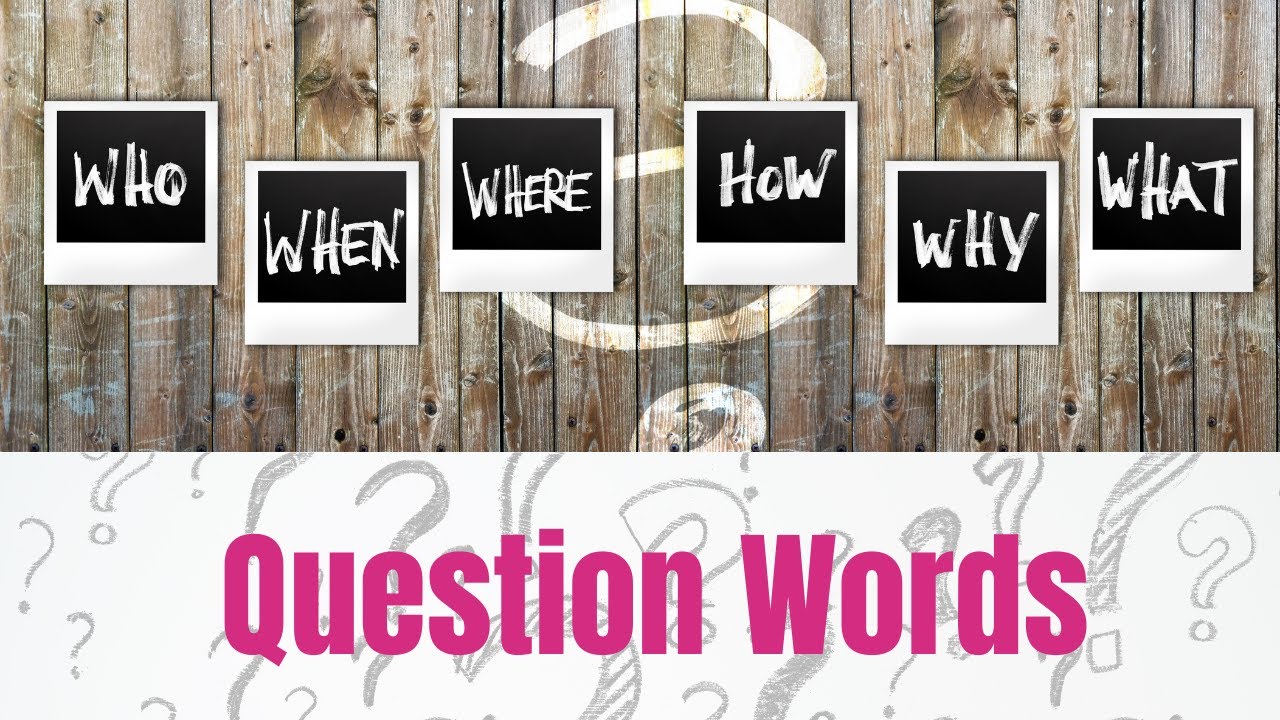 Question Words in English (Beginner English Grammar) - YouTube