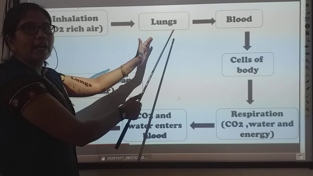 Inhalation and exhalation process - YouTube