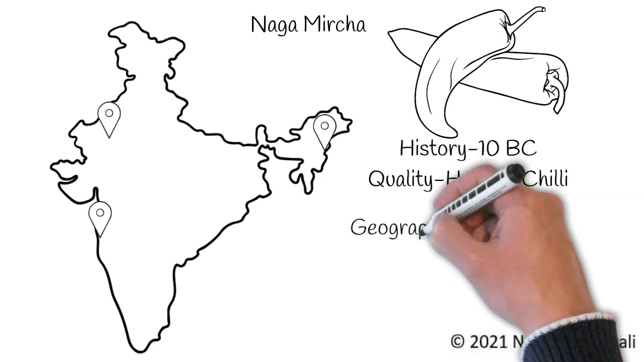 15. Geographical Indication Case studies Treasures of GI- IPR explained ...