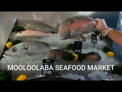 MOOLOOLABA SEAFOOD MARKET Mooloolaba King Prawns Mooloolaba Tiger ...