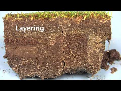 Layering in the profile of a bentgrass green - YouTube