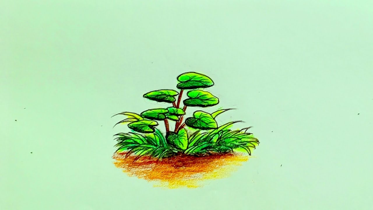 ️ How to Draw a Scrub Step by Step! Easy Drawing Tutorial - YouTube