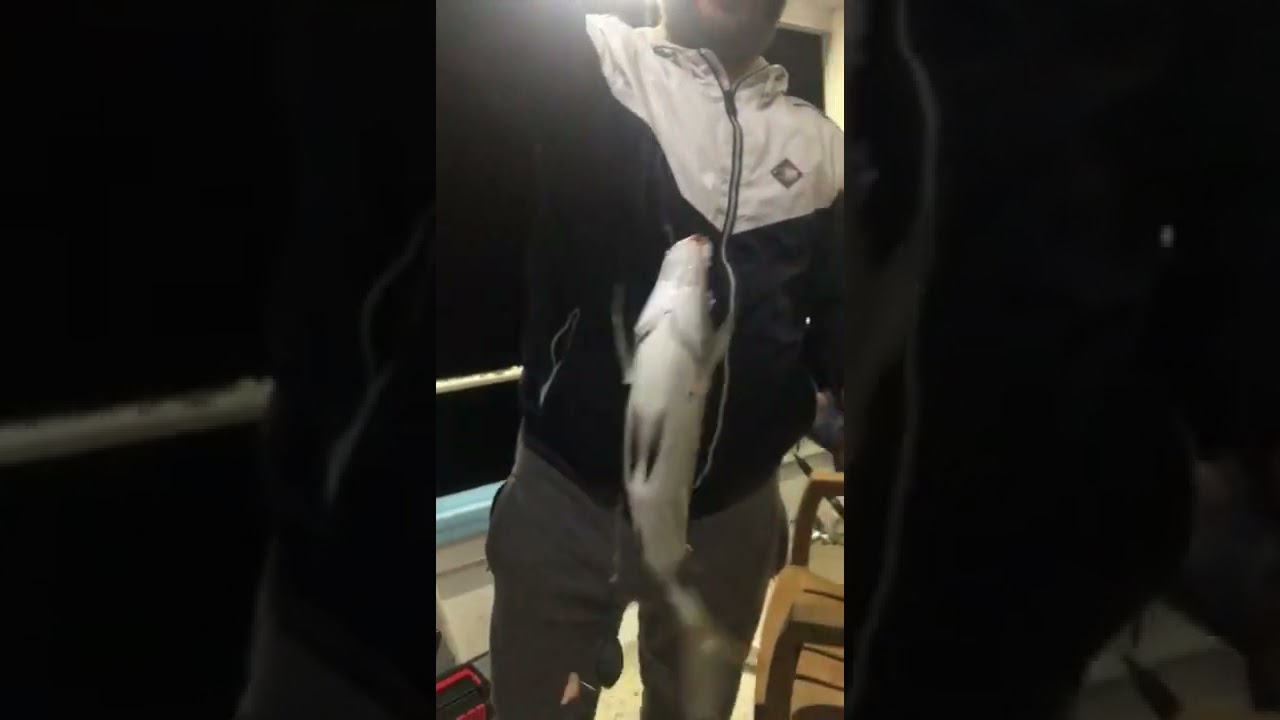 EFE KAPTAN ILDIR BALIK - YouTube