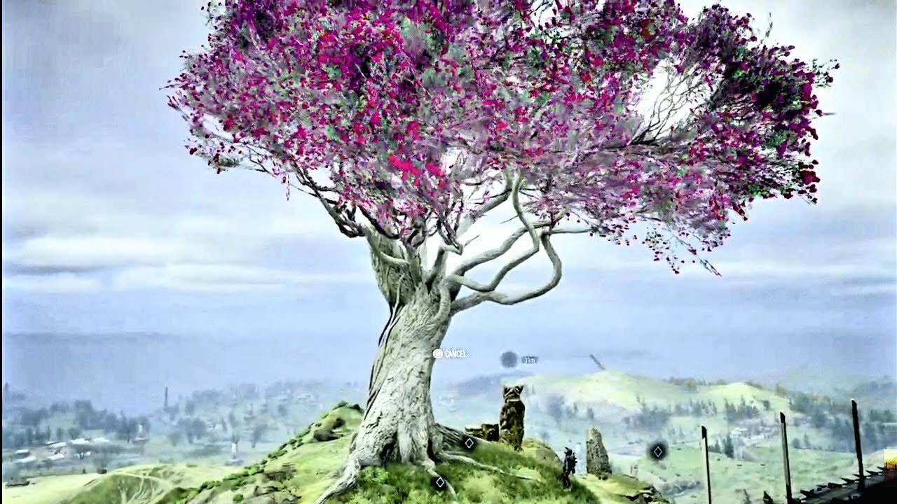 Planted Tree Admire Interaction Location| Ghost Recon Breakpoint - YouTube