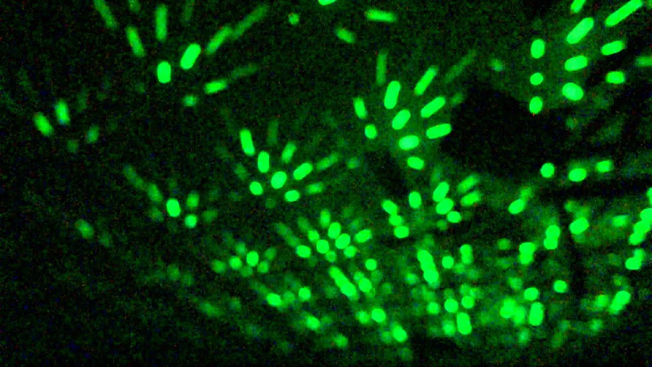 Laser Show controlled by Arduino - YouTube