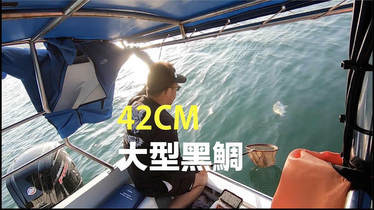 黑鯛流 Ikada Fishing _ 42cm黑沙鱲 - YouTube