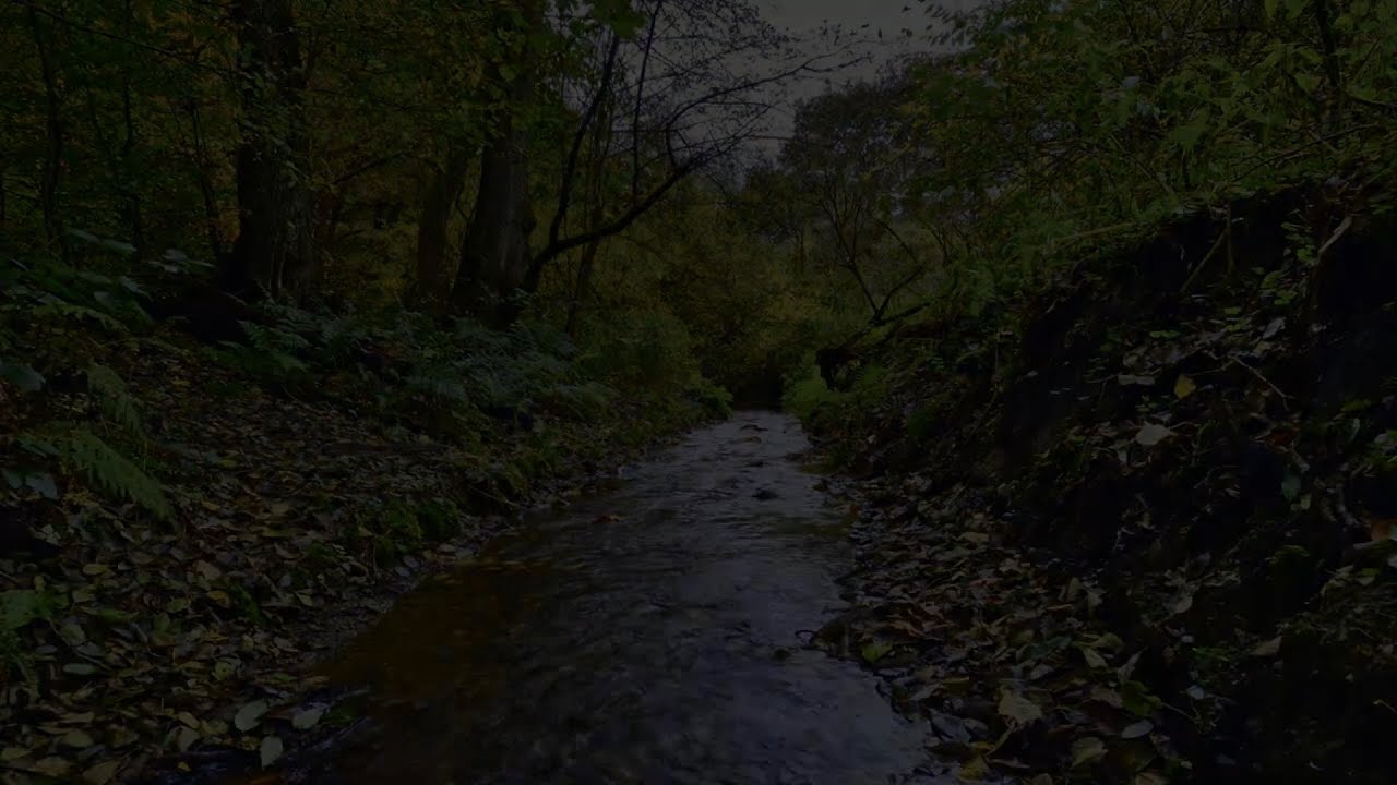 Pleasant sound of a stream at night to calm nerves, relax and sleep ...
