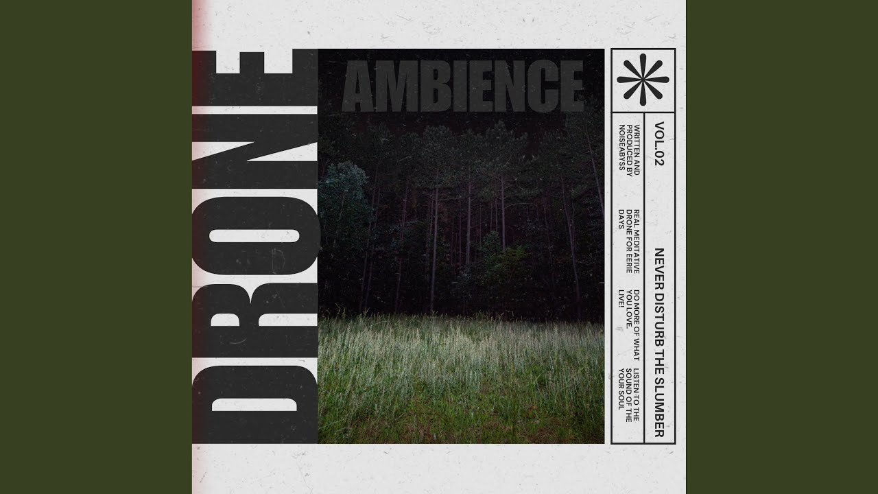 Drone Singularity - YouTube