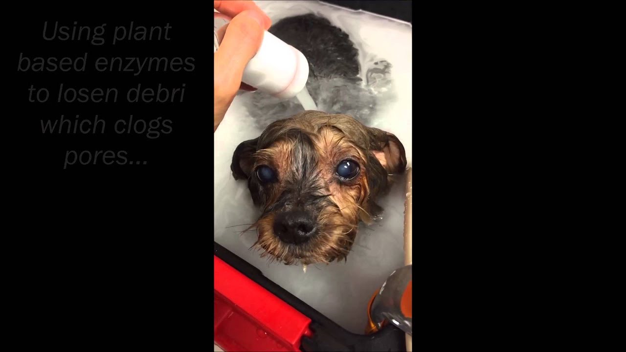 Introducing Our New Thera-Clean Microbubble Bathing System - YouTube