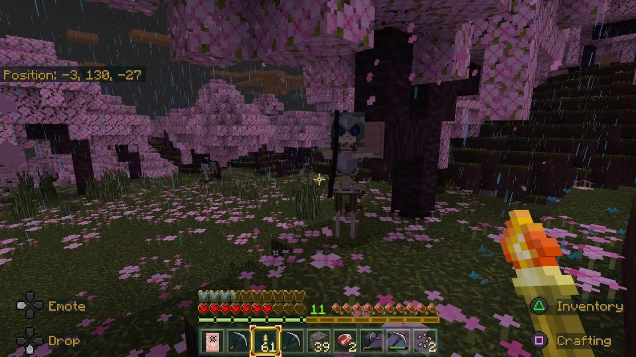 Golden Pants! Minecraft Family Game Night - YouTube