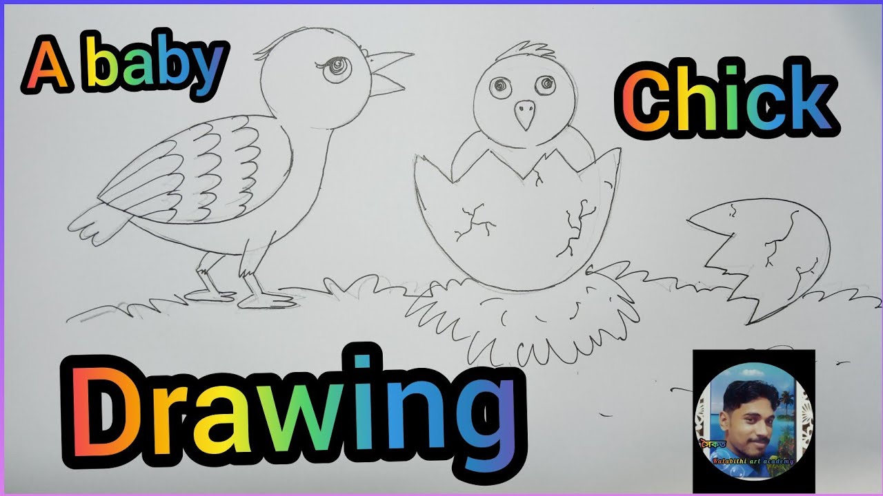 how to draw a baby chick drawing easy, kids drawing easy step by step ...