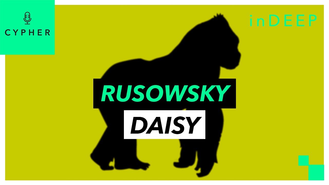 ANÁLISIS y REACCIÓN de "DAISY" de RUSOWSKY - YouTube