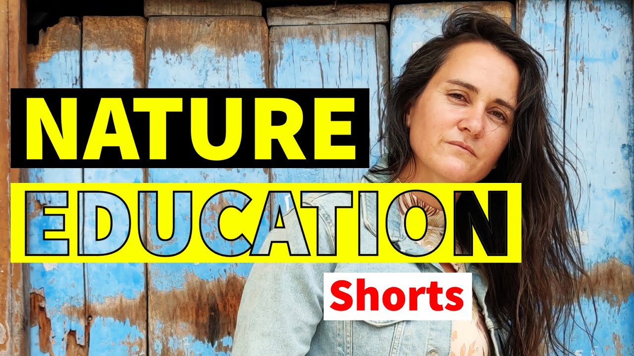 Nature Education for children & adults. See nature as a 3rd teacher # ...