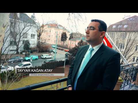 DALGALANAN BAYRAK AVUSTURYA