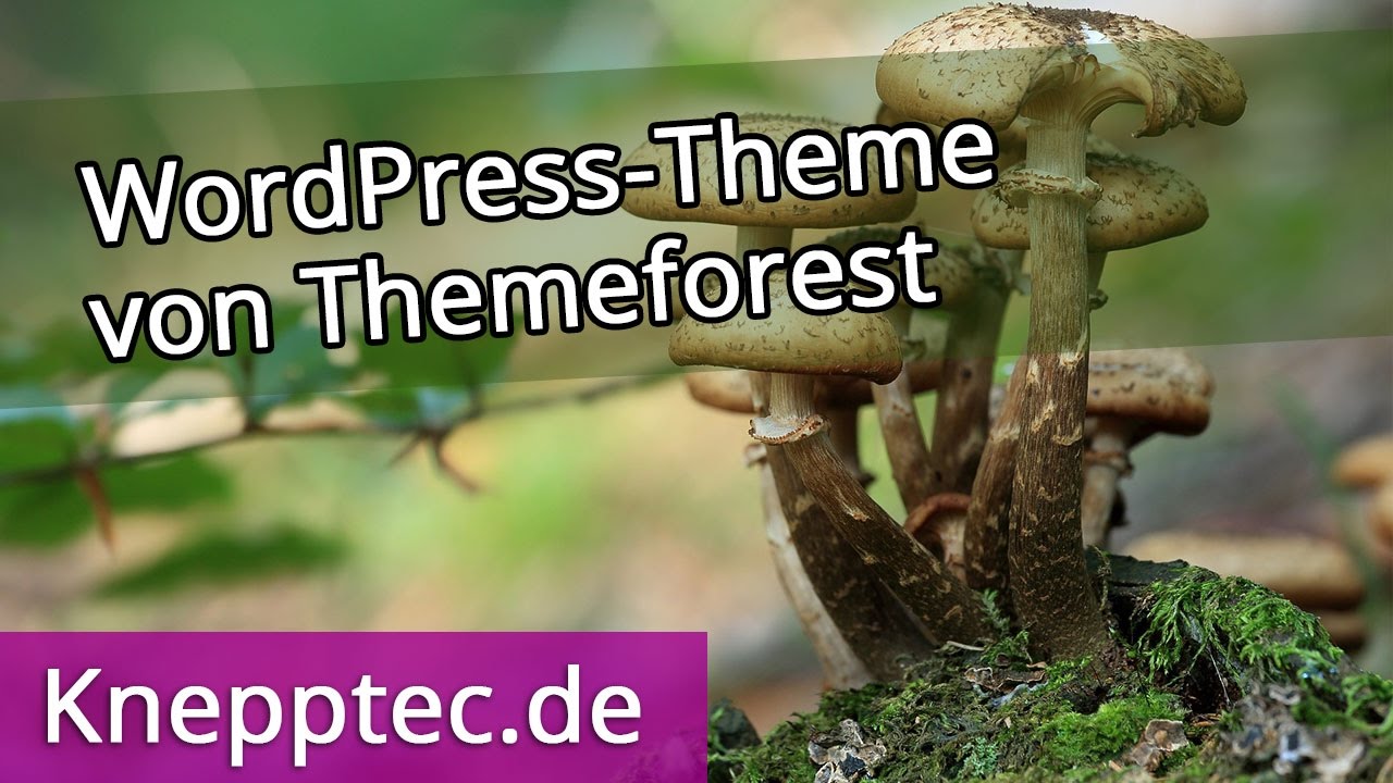 WordPress-Theme von Themeforest installieren + Demo-Daten importieren ...