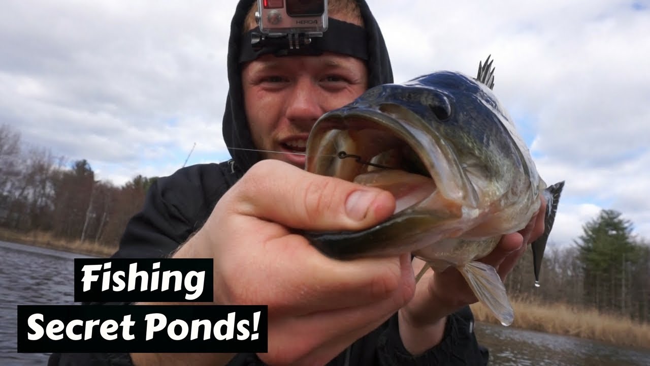 Catching BIG Bass in a HIDDEN Pond! (Kayak Fshing) - YouTube