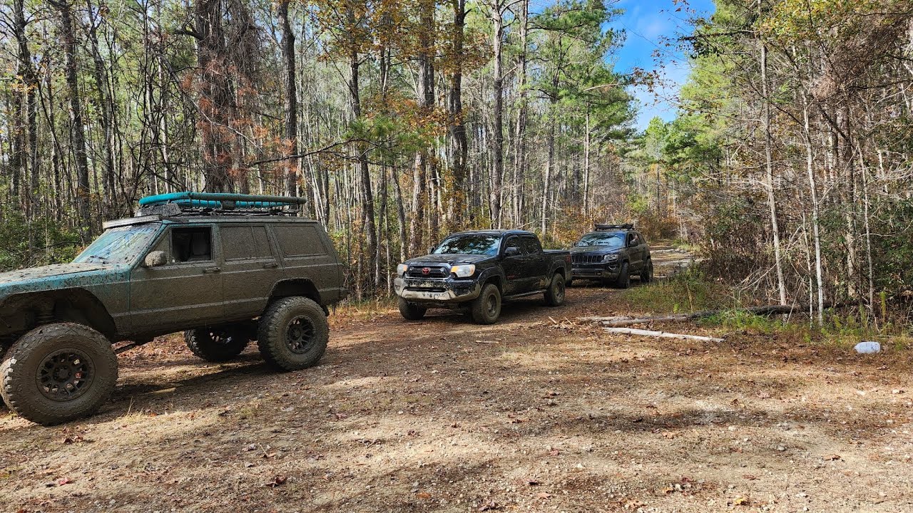 Trail Riding Francis Marion National Forest - YouTube