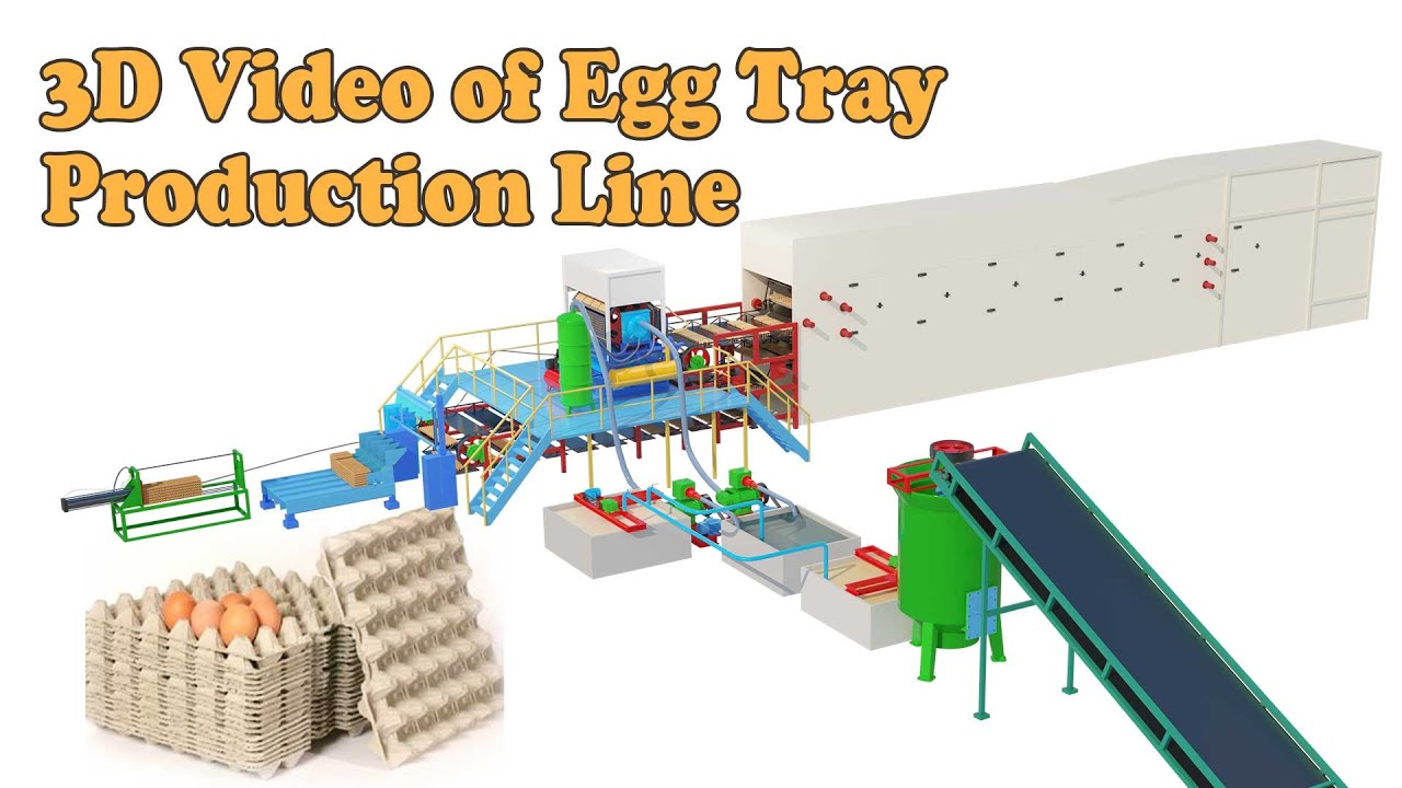 From Pulp to Perfect: The Art of Making Paper Egg Trays | 3D Video of ...