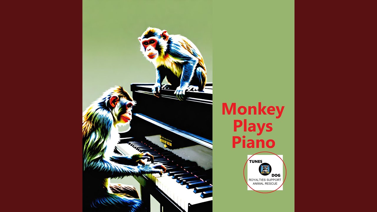 Chimpanzee Chords - YouTube