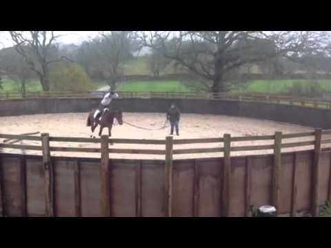 Torture lesson on circus pony!