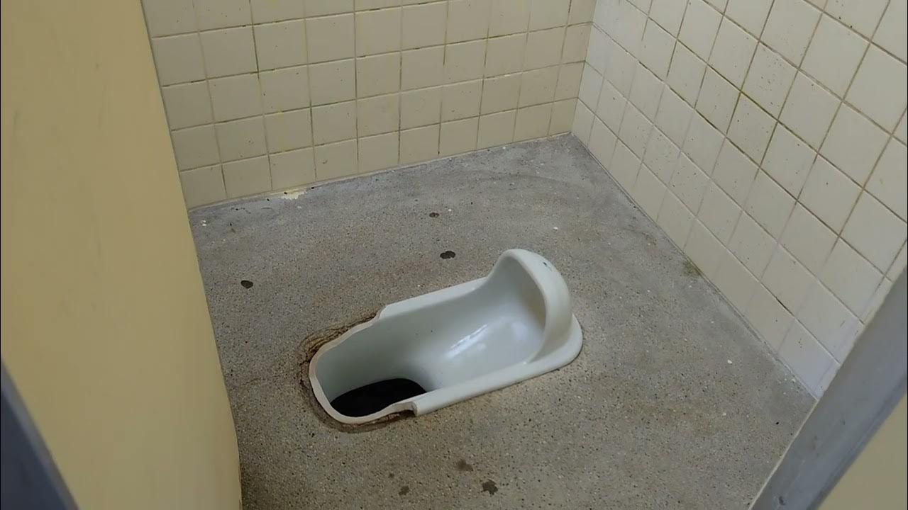 【閲覧注意】十三峠展望台 直下式ぼっとんトイレと壁式便器? Youtube