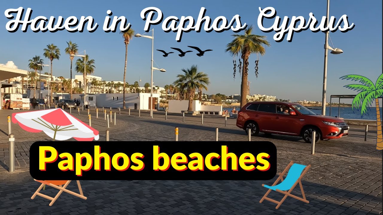 Haven in Paphos Cyprus | petra tou romiou cyprus | Paphos travel guide ...