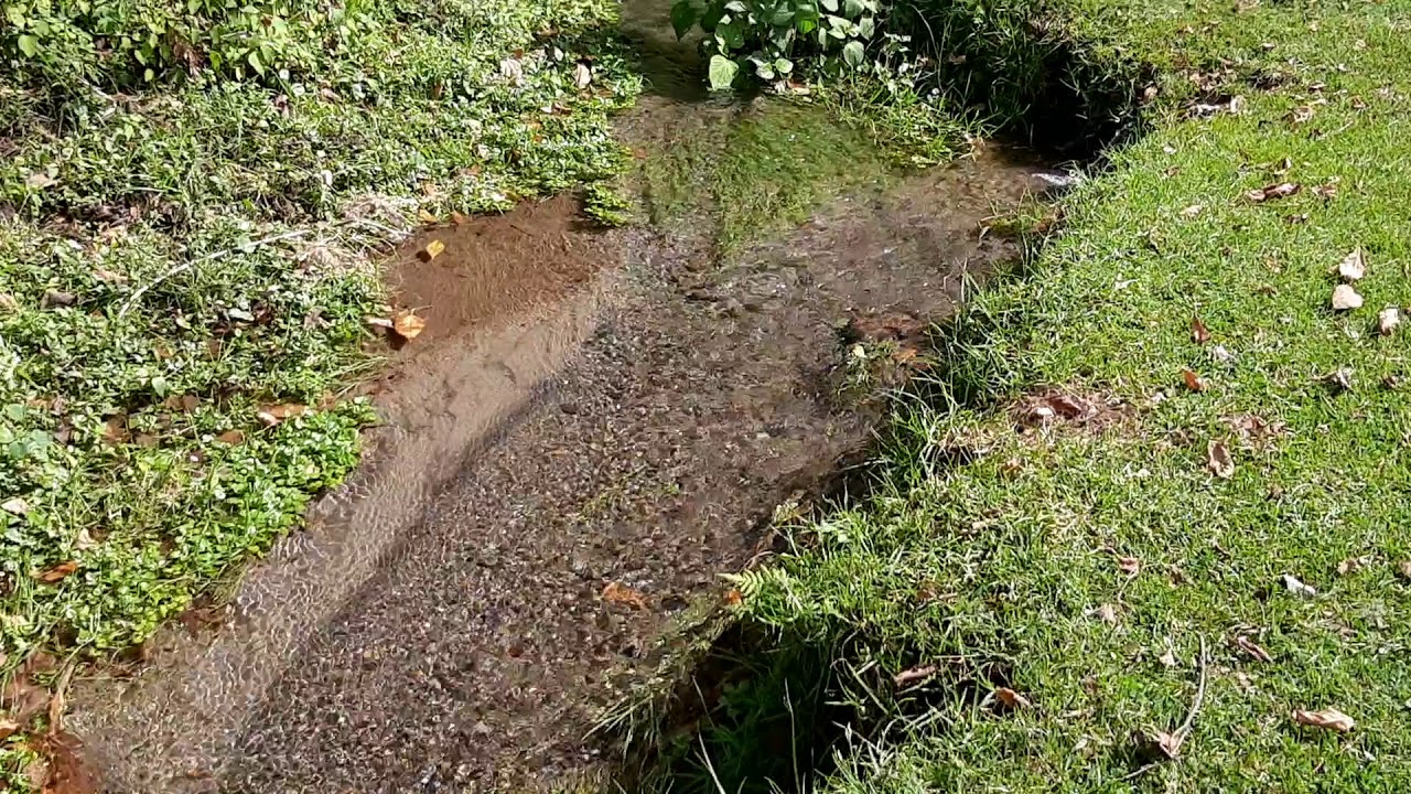 rio de los berros muy hermoso ven a visitarlo en yaonahuac puebla - YouTube