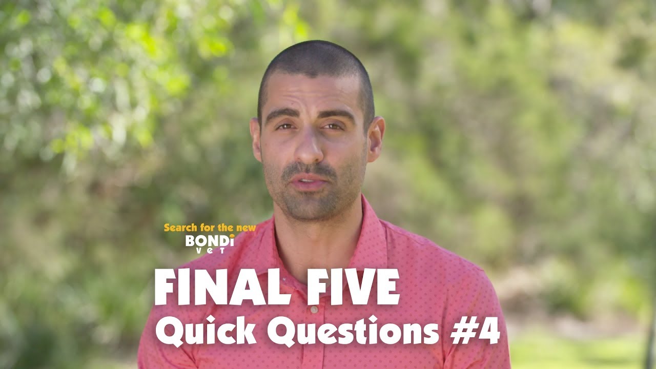 FINAL FIVE - Quick Questions #4 - YouTube