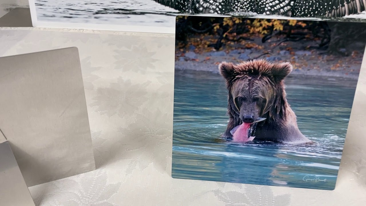 Bennett Images Alaska - YouTube