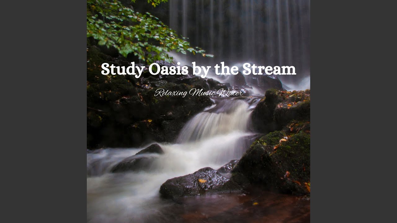 Reflective Streamside Flow - YouTube