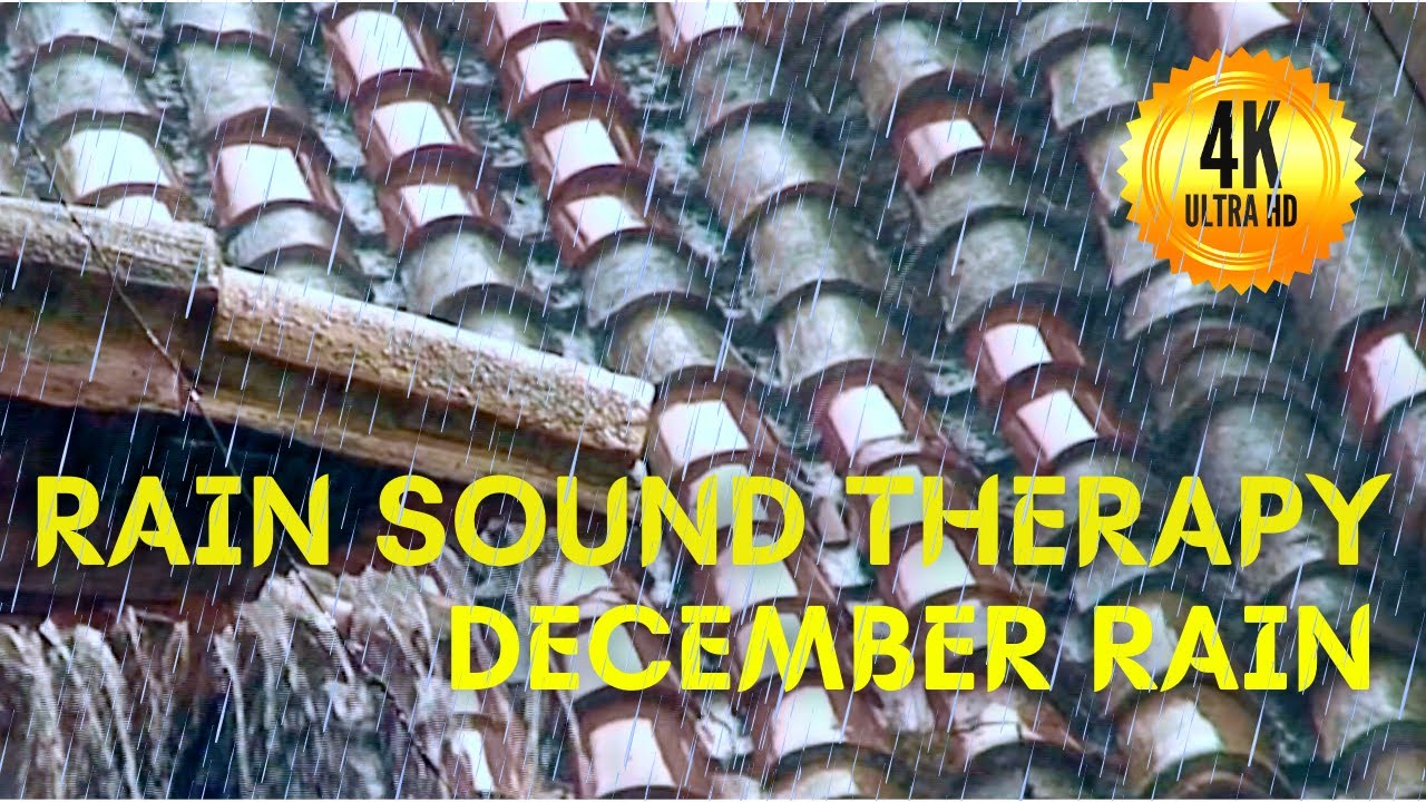 Rain Sound Therapy-December Rain - YouTube