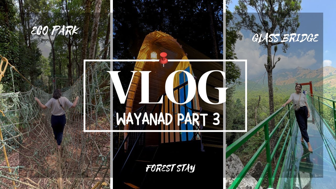 Forest Stay 900 Kandi Glass Bridge WAYANAD VLOG 3 kerala forest-stay-900-kandi-glass-bridge-wayanad-vlog-3-kerala