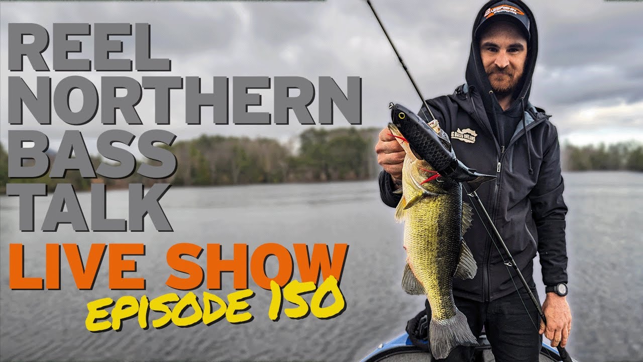 Reel Northern Bass Talk Livestream - 150th Show Special! - YouTube