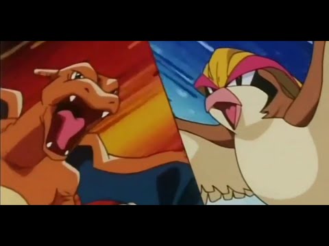 Ash's Charizard VS Pidgeot Gym Match||Ash Vs Falkner Gym Battle