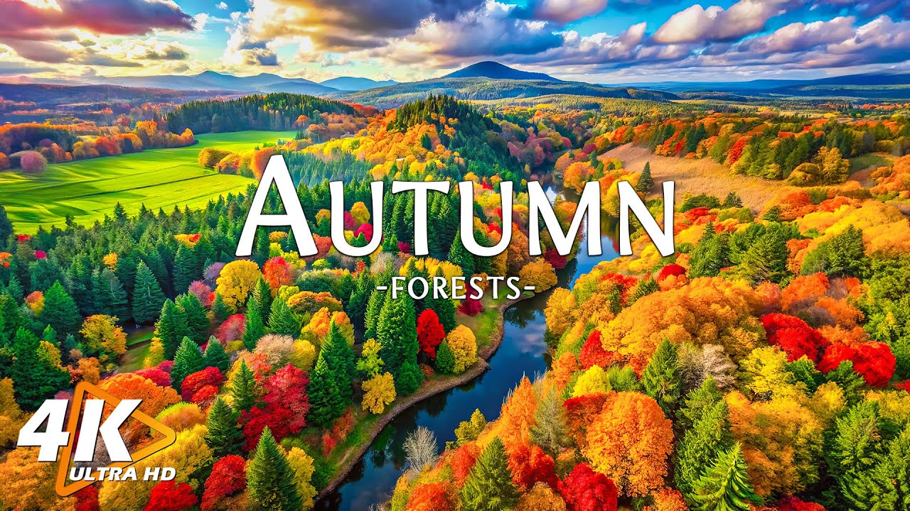 Enchanting Autumn Forests with Beautiful Piano Music🍁4K Autumn Ambience ...