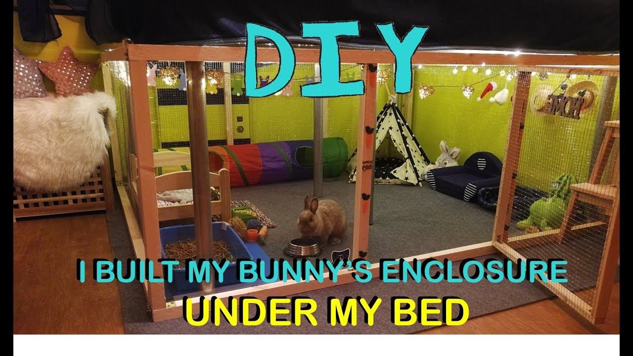DIY Bunny Enclosure - YouTube