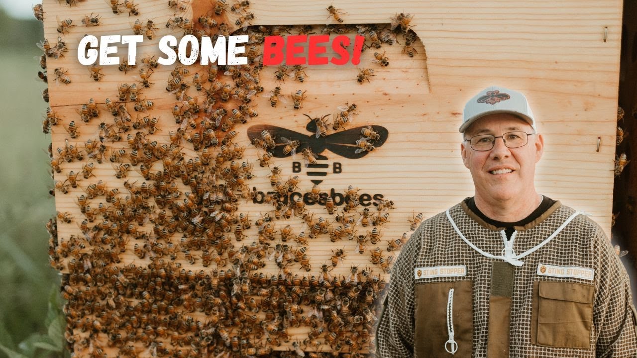 Thinking About Beekeeping? Getting Bees and Knowledge - YouTube