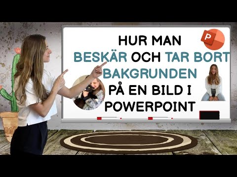 Hur man beskär och tar bort bakgrunden på en bild i PowerPoint - YouTube