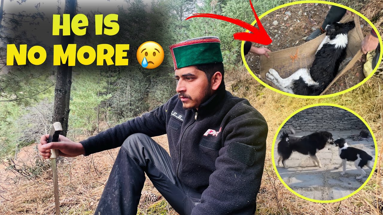 He Left Us💔🥺 - YouTube