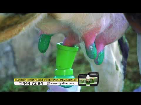 İneklerinizi mastitisten korumak için - MASDİSİN HERBAFİLM / Royal İlaç