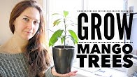How to Grow a Garden with Scarlett Damen - YouTube