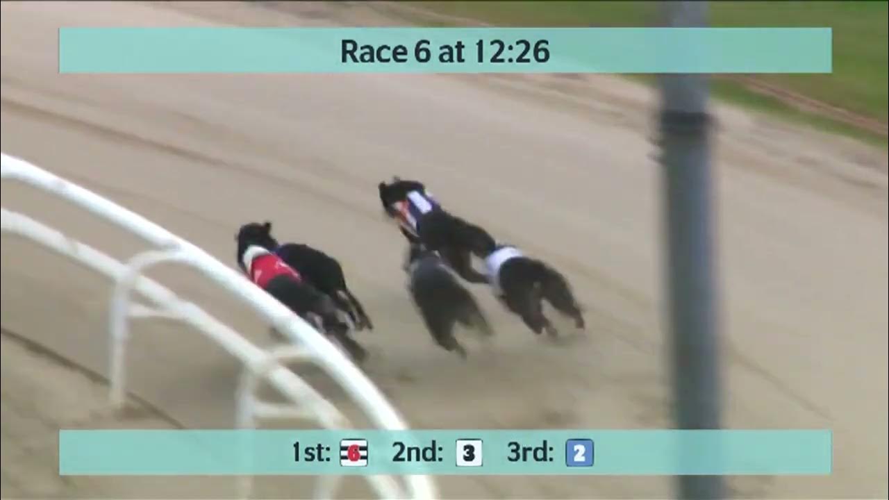 Monmore Greyhounds Races on 18th December 2024 - YouTube Monmore Greyhounds Races on 18th December 2024 - YouTube