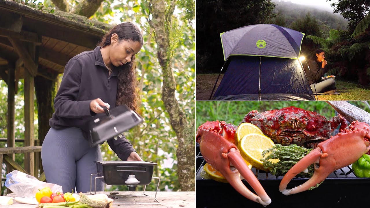 Solo Camping-Cooking Giant King Crab in the Mountains with my Big Cat ...