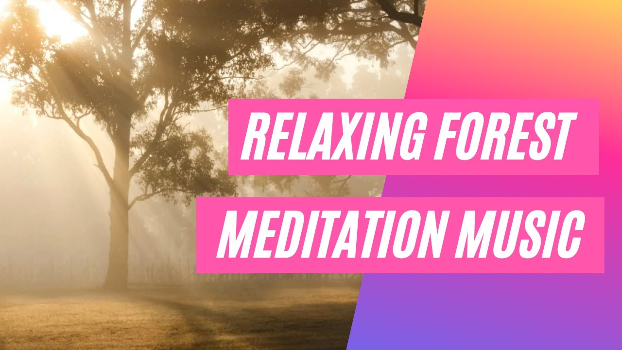 Forest Nature Background Music - YouTube