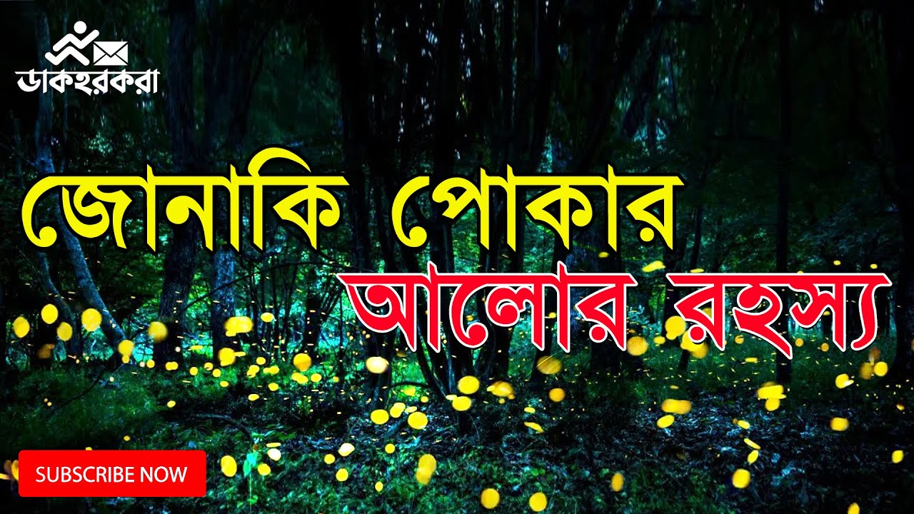 জোনাকি পোকা । জোনাকি পোকার অজানা রহস্য! । Jonaki Poka । Facts About ...