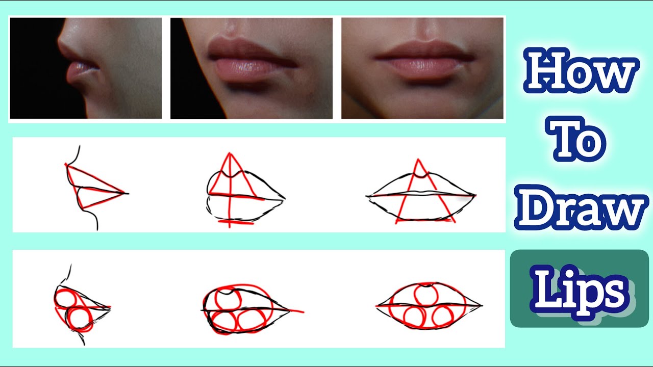 How to draw Lips | Mouth step by step (From Front, Side and three ...