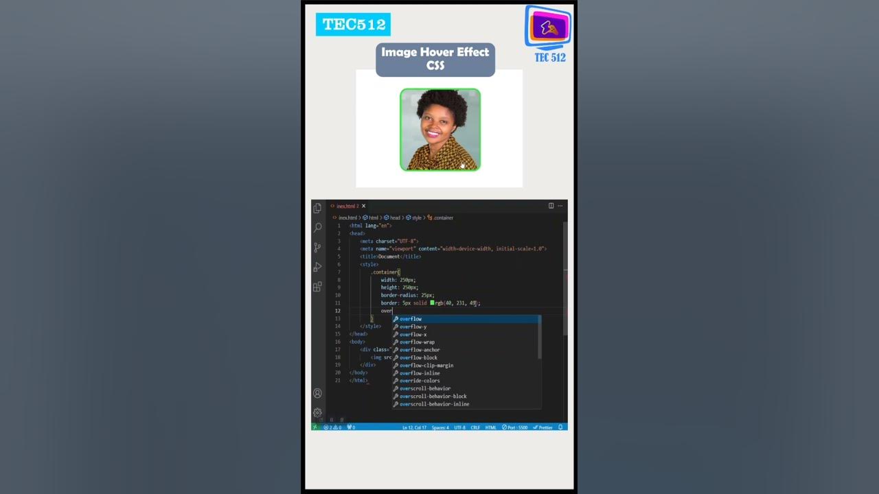 Css Image Hover Effect Coding Htmlcss Csseffect Youtube