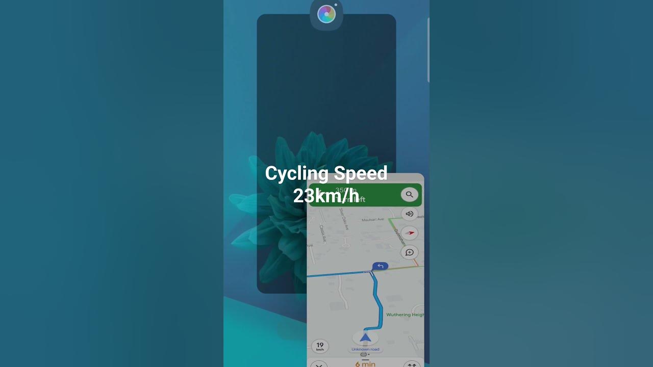 cycling speed 23km/h ...but suddenly buffalo came in the way 😂😂😂😂 - YouTube
