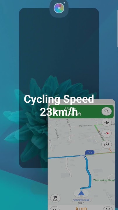 cycling speed 23km/h ...but suddenly buffalo came in the way 😂😂😂😂 - YouTube